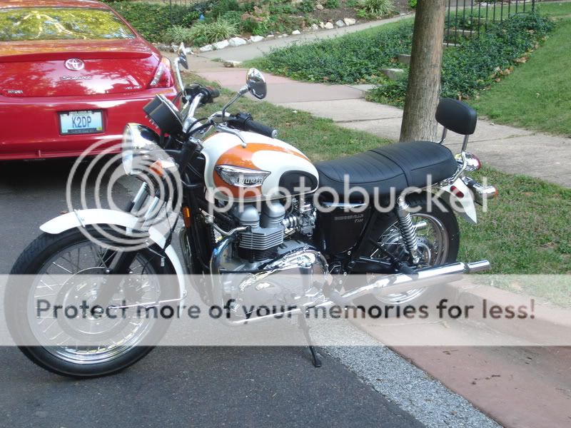 My new creamsickle Bonnie! | Triumph Rat Motorcycle Forums