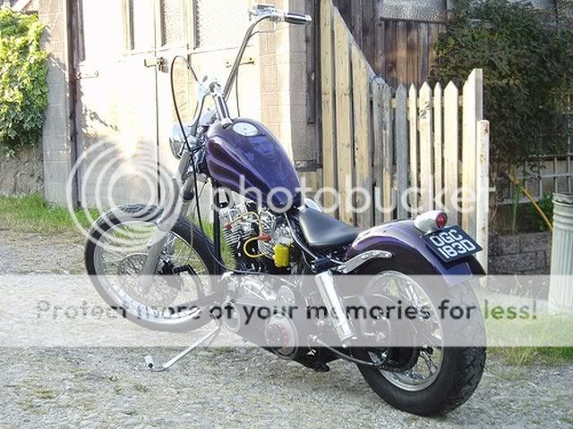 Shovels Rule......Pic's | Page 27 | Jockey Journal Forum