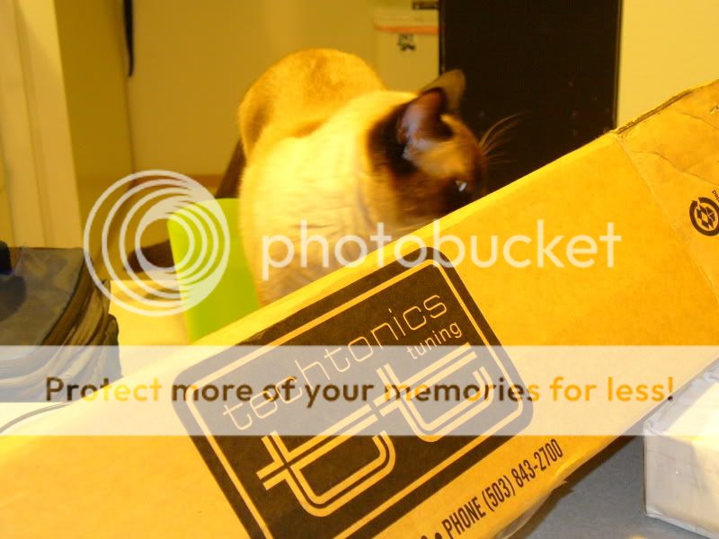 2.0 ABA/16V Hybrid build thread--Mk2 Content | Page 3 | VW Vortex ...