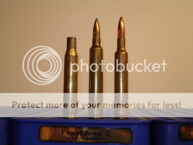 30 Gibbs itch to scratch | Single-Actions