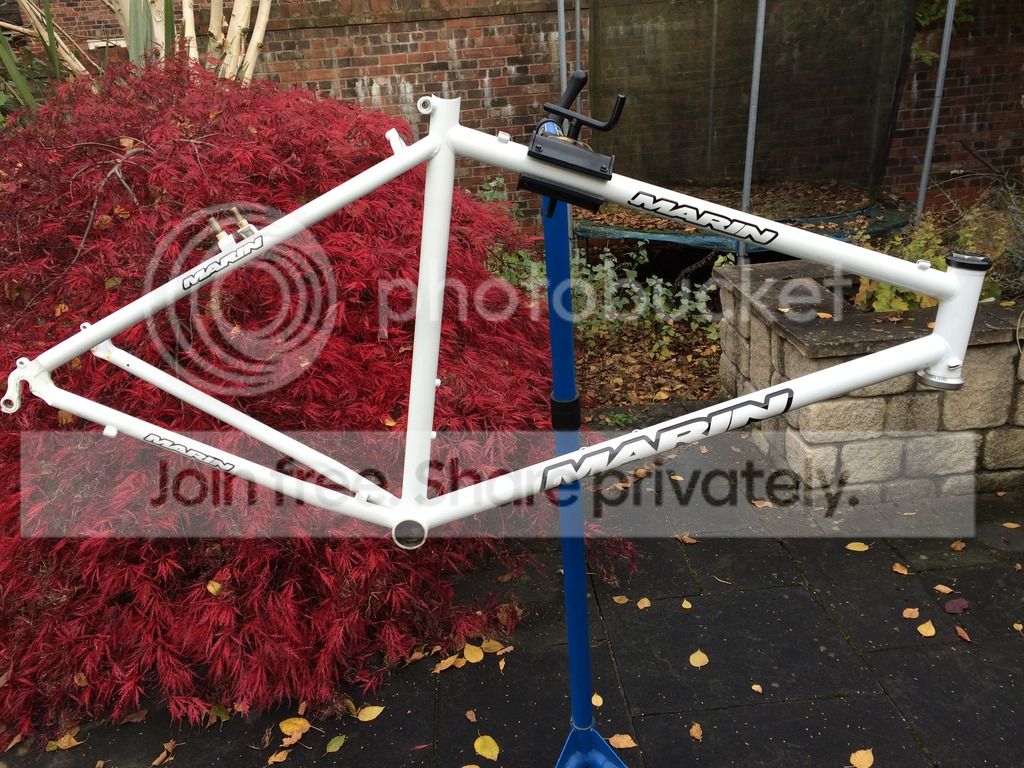 Marin Team Frame | Retrobike