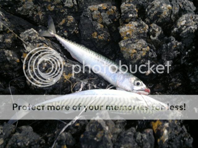 Holiday Pics....Rhosneigr - The Fishermans Net