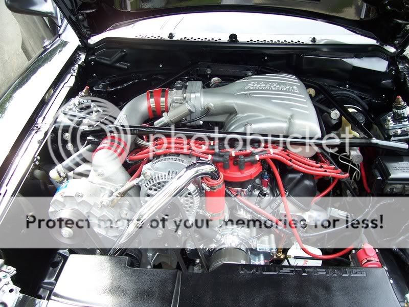 Need Engine Bay Pic's With Hidden Wiring Harness | Ford Mustang Forums