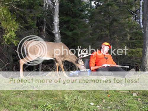 Sleeping while hunting? - Calguns.net