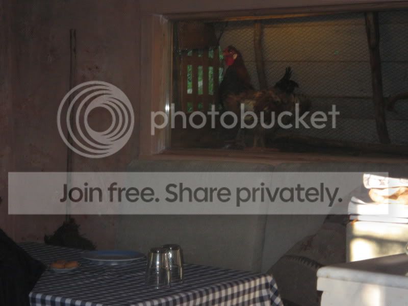 Νεραιδοσπιτα και γιγαντες(οδοιπορικο στην ορεινη Αχαια) | AVsite