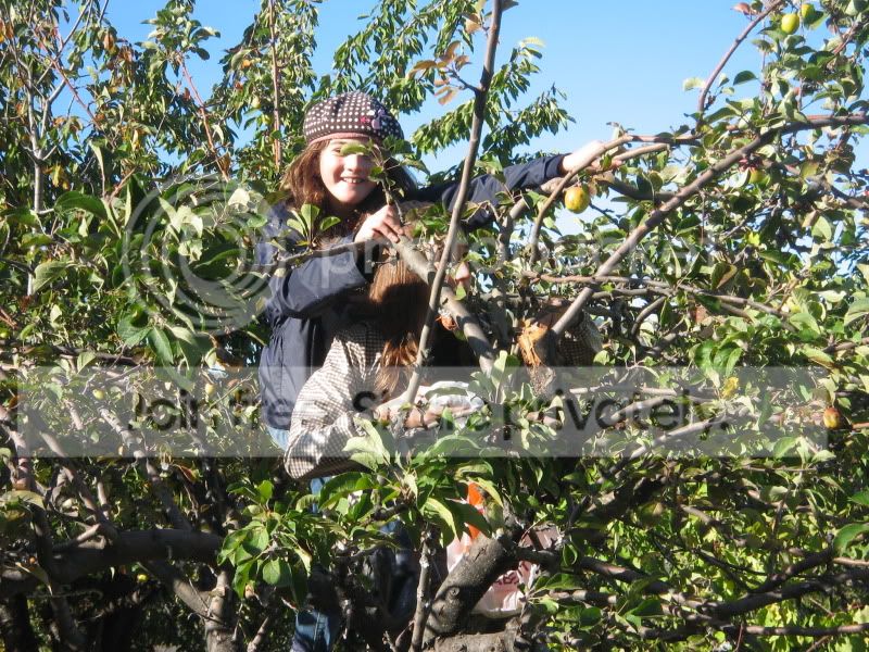 Νεραιδοσπιτα και γιγαντες(οδοιπορικο στην ορεινη Αχαια) | AVsite