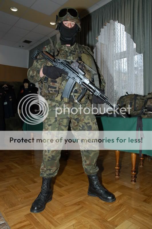 Beryl and Mini Beryl | AK Rifles