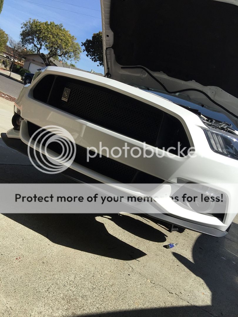 ***RTR Upper and Lower Grilles Install Write-up*** | S197 Mustang Forum ...