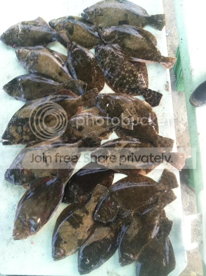 DIY flounder gig | 2 Cool Fishing Forum