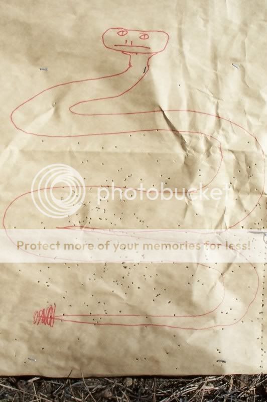 snake load test fire | The Muzzleloading Forum