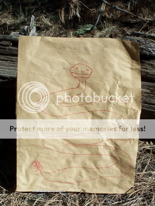 snake load test fire | The Muzzleloading Forum