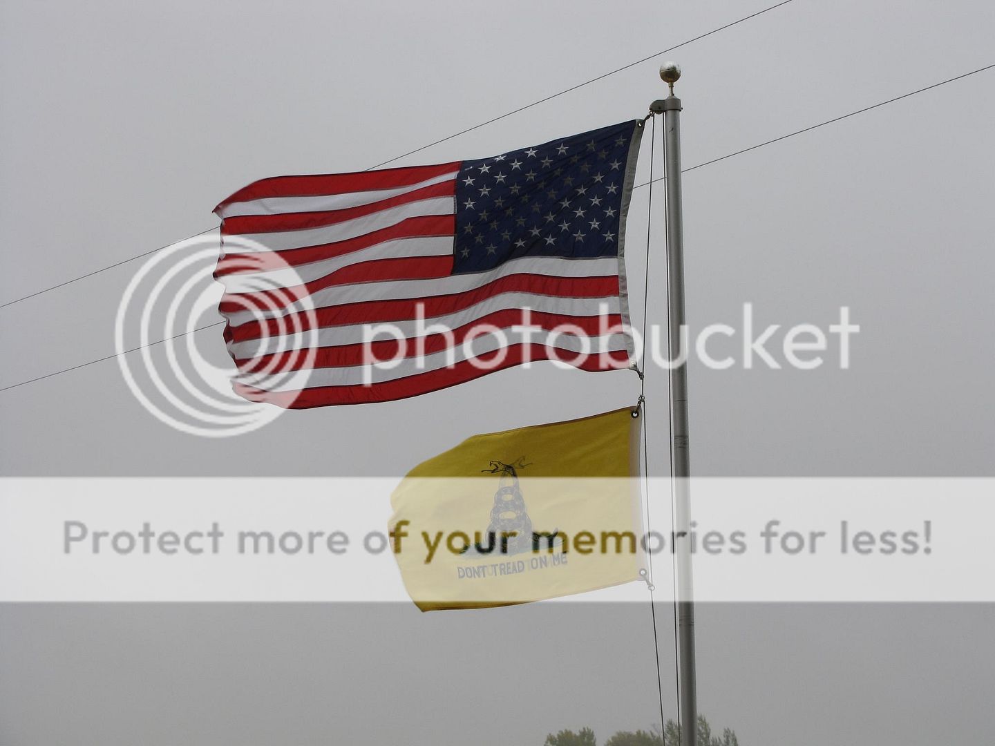 What flags do you fly on your flag pole? - AR15.COM